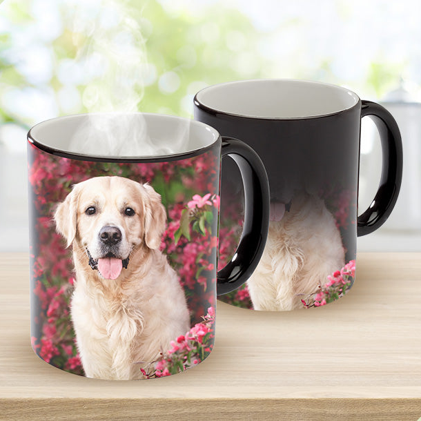 ColourChangingMug.png?v=1746823956